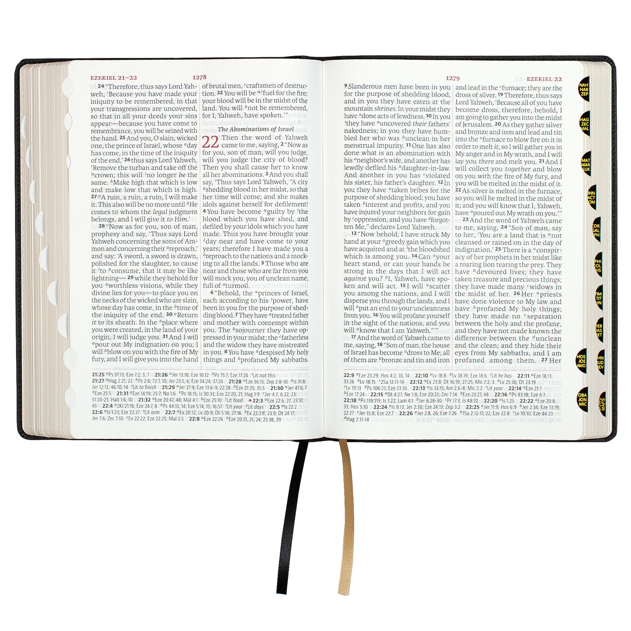 Legacy Standard Bible, Giant Print Reference Edition - Paste-Down Faux ...