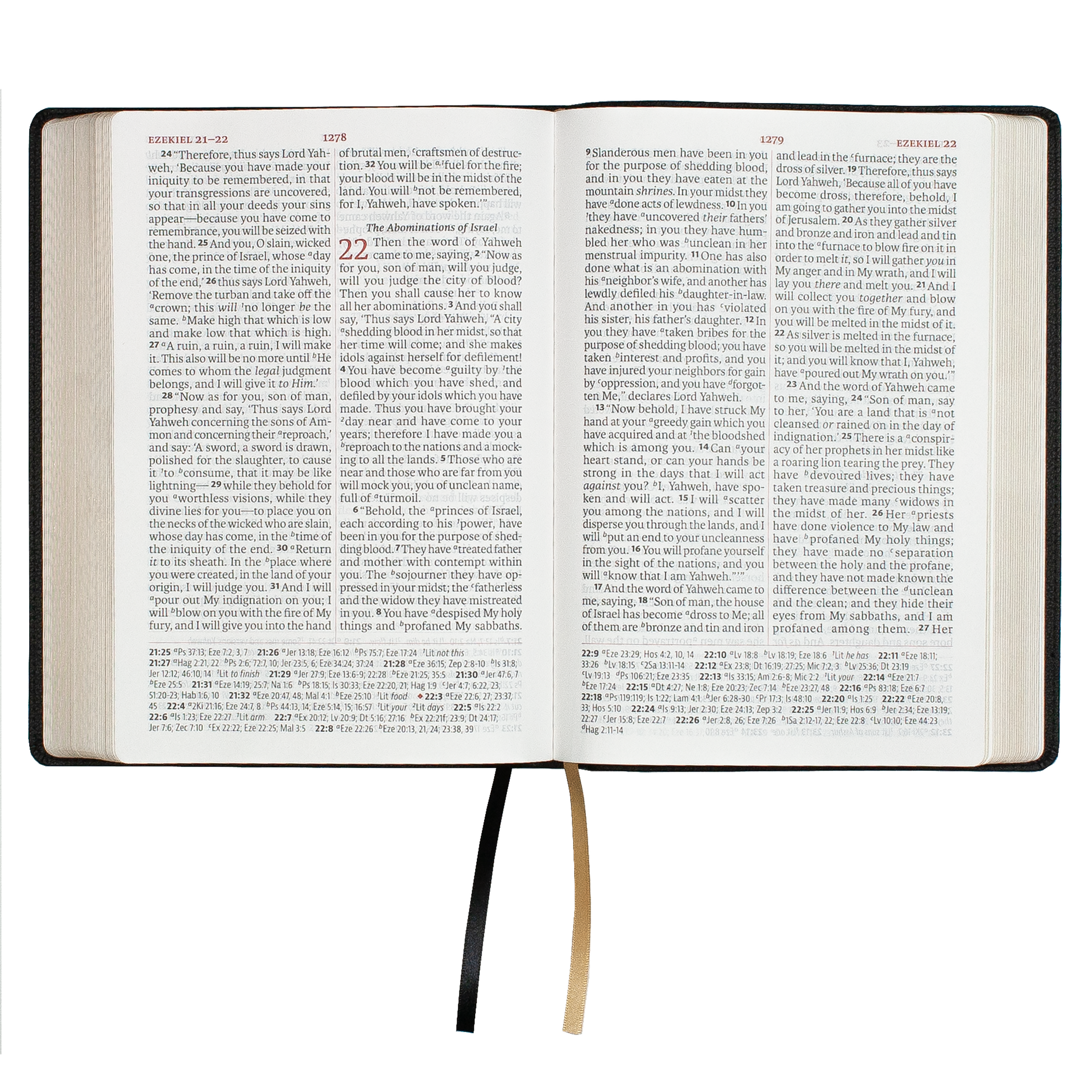 Legacy Standard Bible, Giant Print Reference Edition - Paste-Down Faux ...
