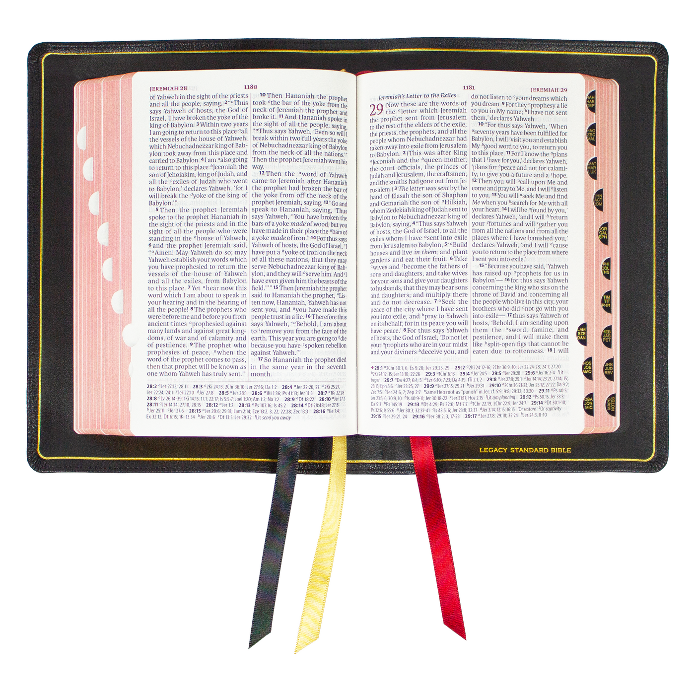 Legacy Standard Bible, Portable Paragraph Reference - Edge-Lined Shama ...