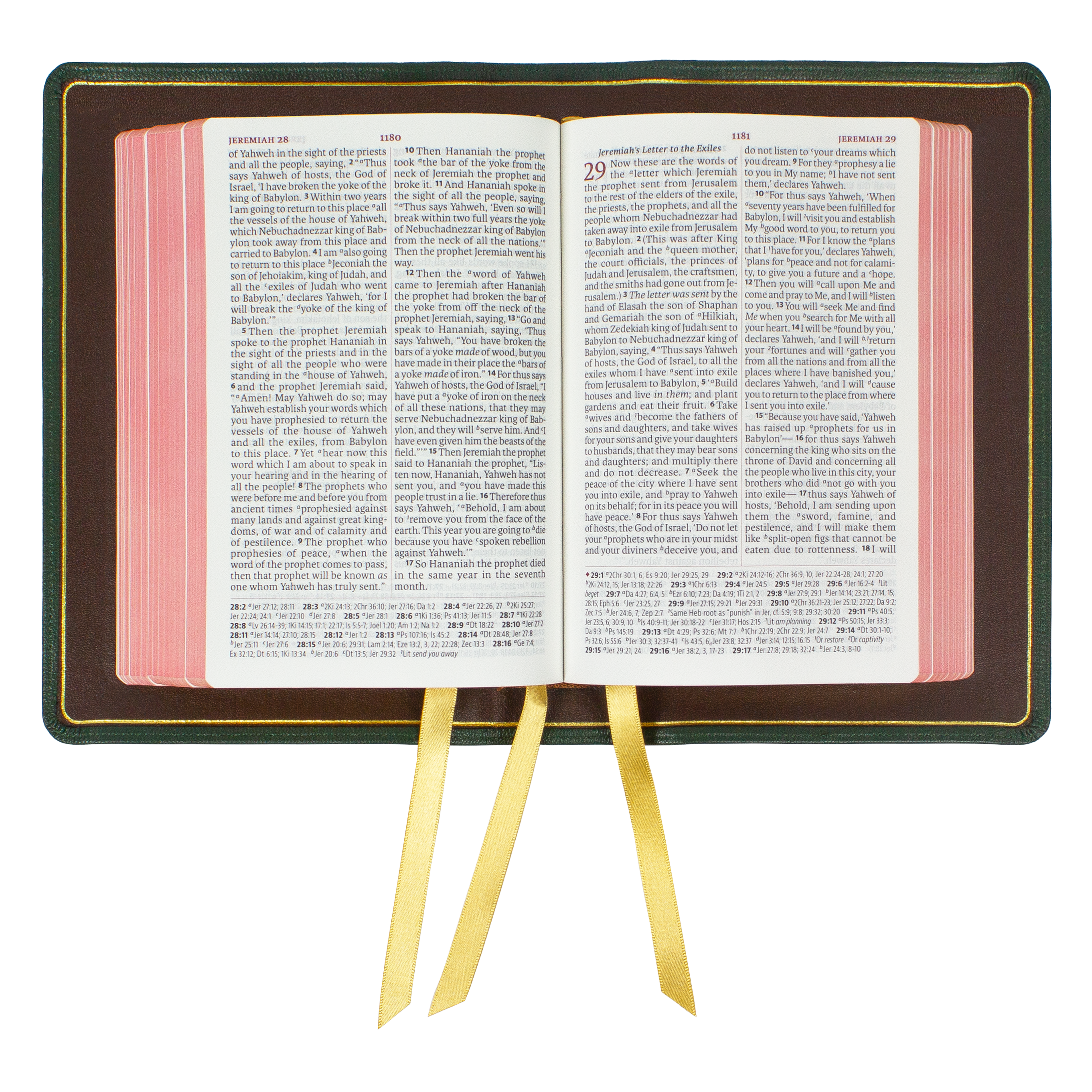 Legacy Standard Bible, Portable Paragraph Reference - Edge-Lined Shama ...
