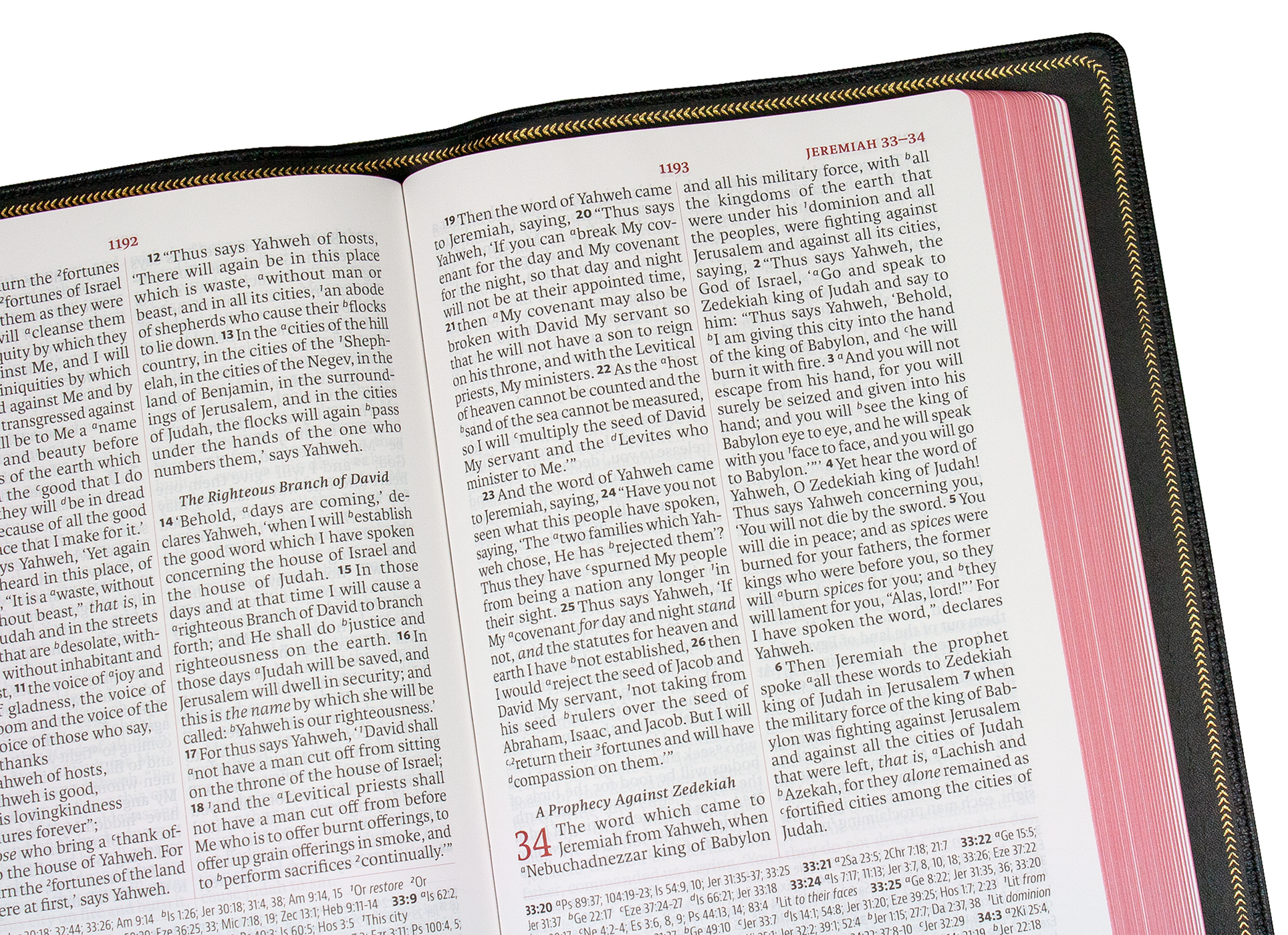 Legacy Standard Bible, Giant Print Reference Edition - Edge-Lined Goat ...