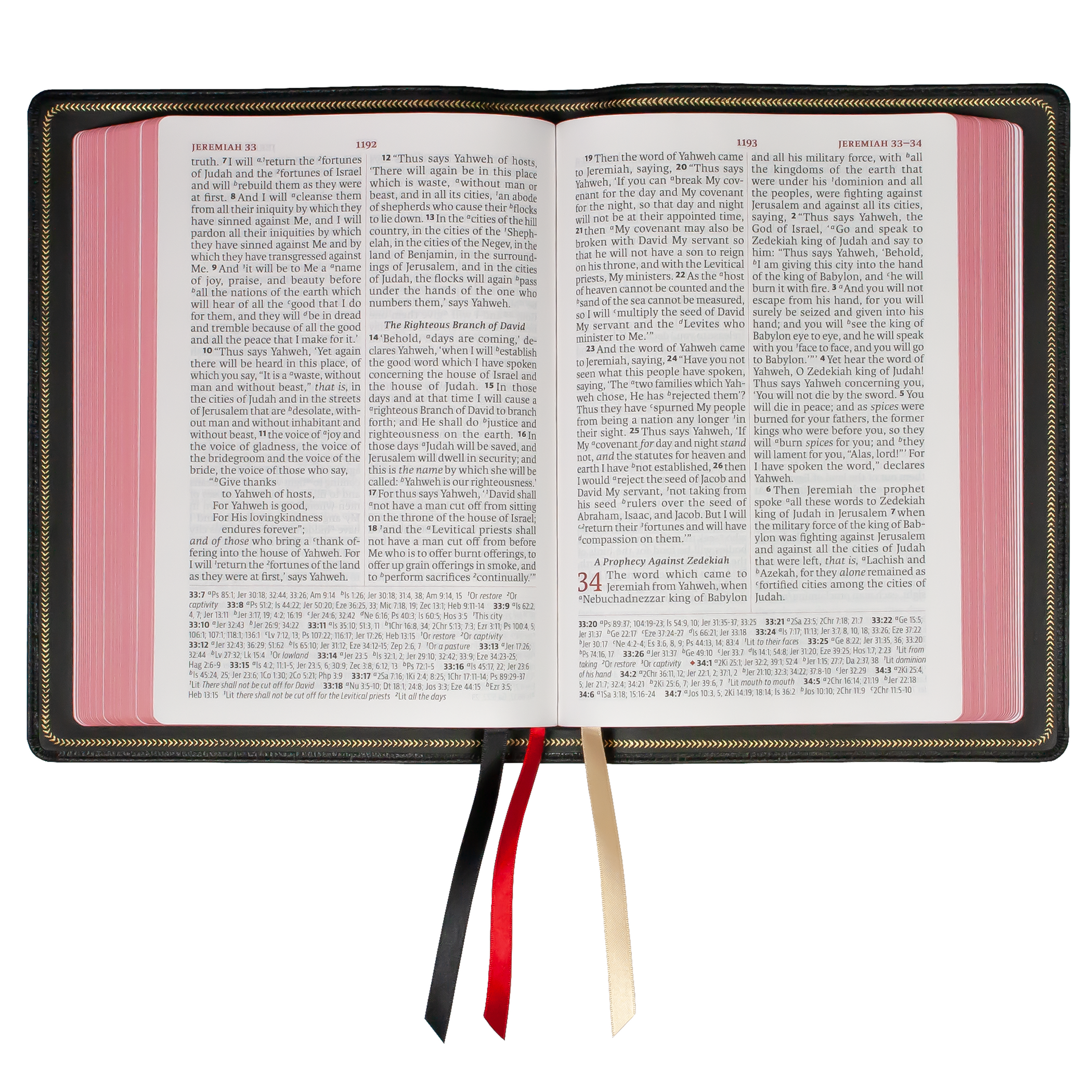 Legacy Standard Bible, Giant Print Reference Edition - Edge-Lined Goat ...