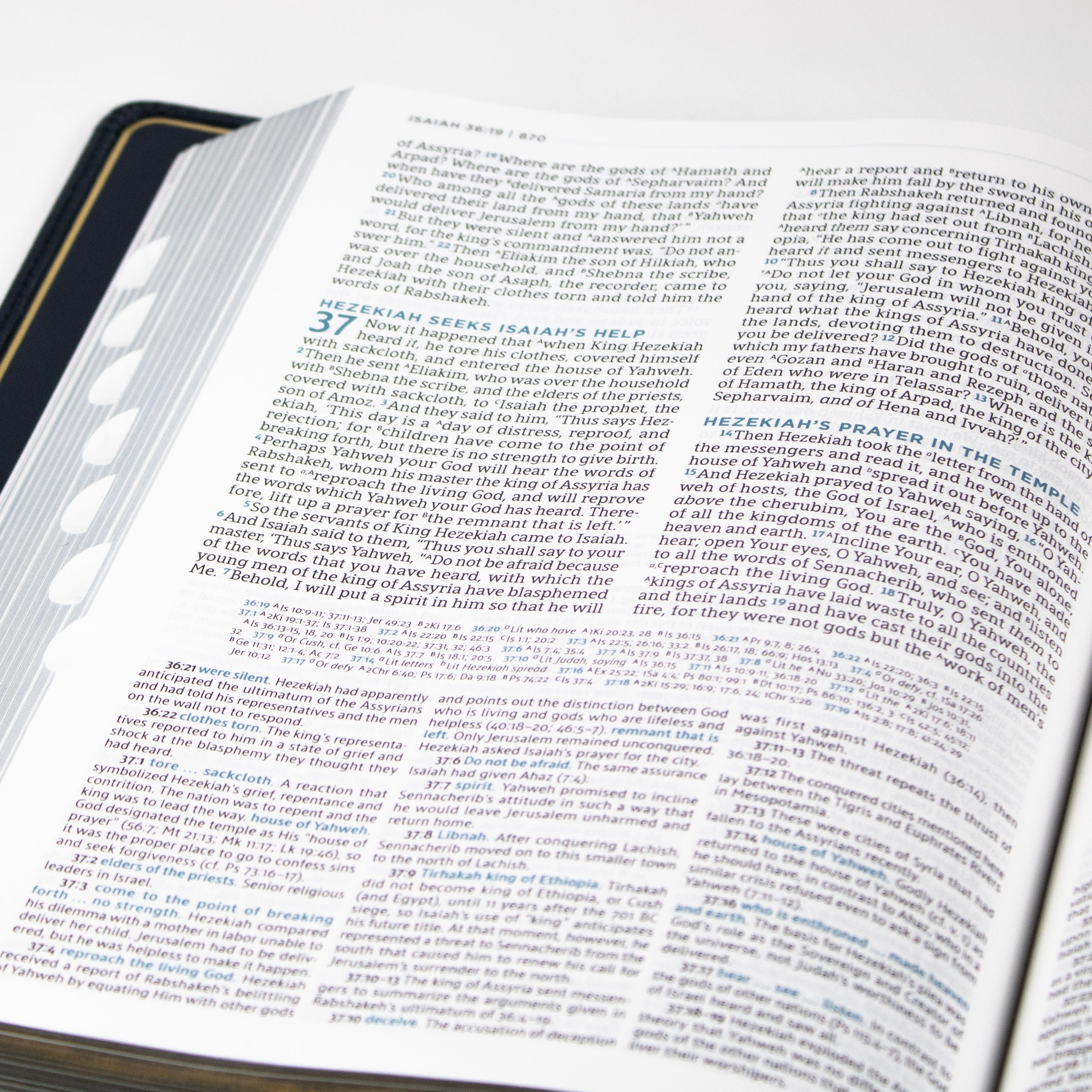 Legacy Standard Bible, MacArthur Study Bible - Edge-Lined Goatskin ...