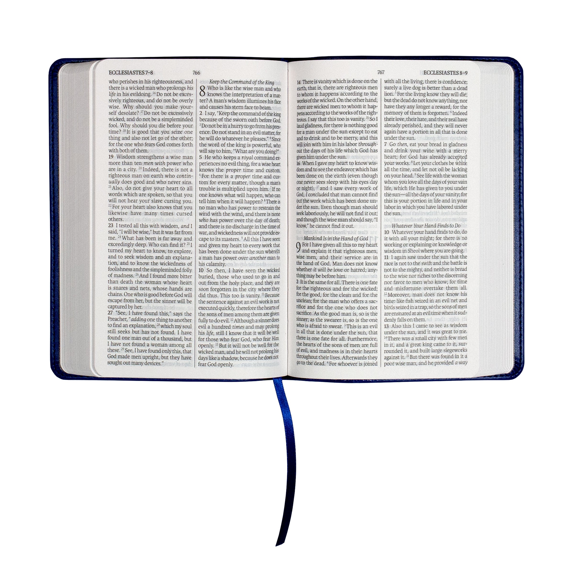 Legacy Standard Bible, Compact Edition - Paste-Down Faux Leather — 316 ...