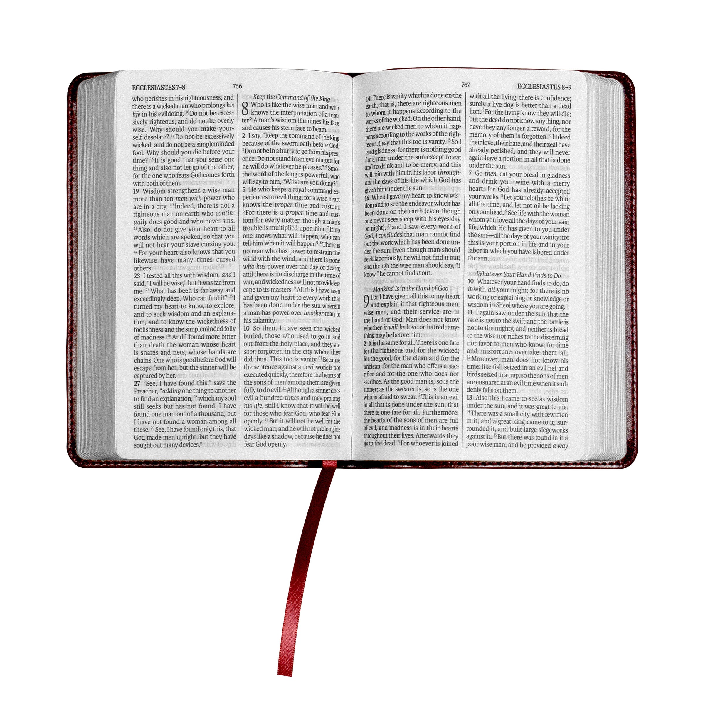 Legacy Standard Bible, Compact Edition - Burgundy & Forest Green Faux ...