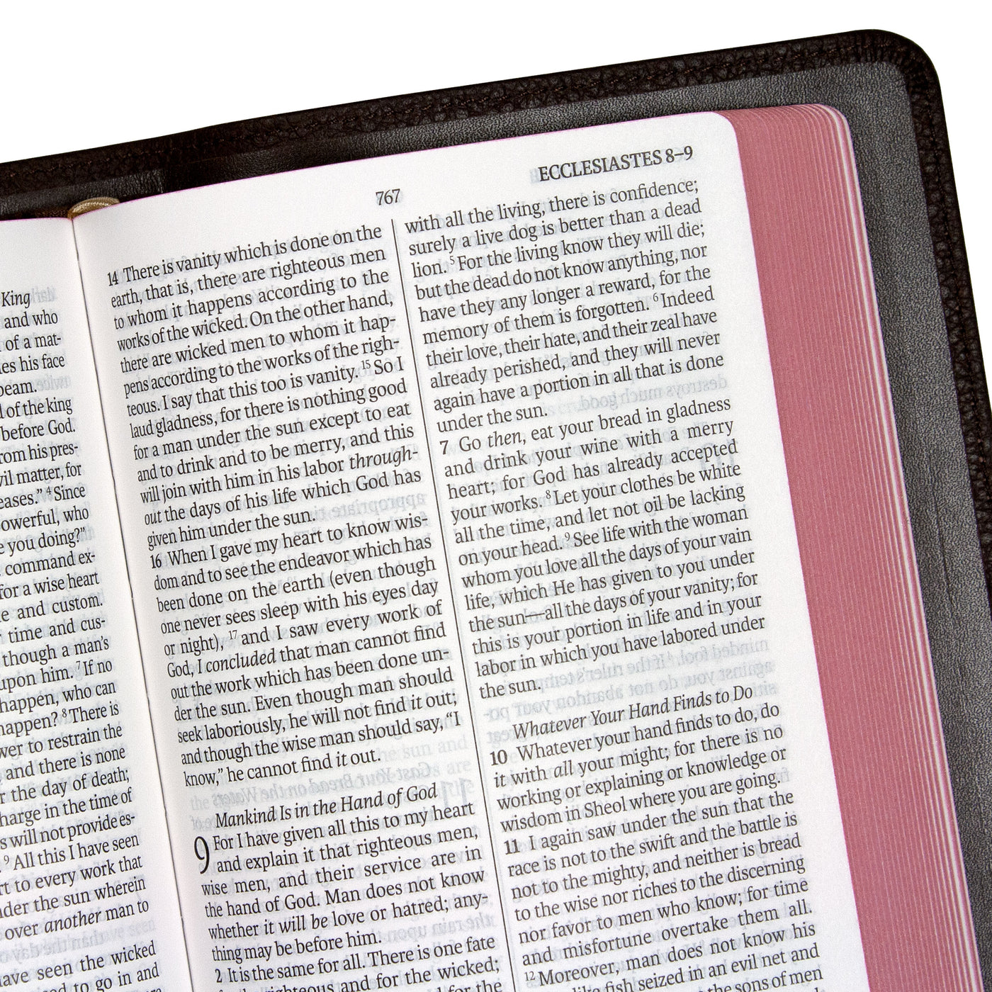 Legacy Standard Bible, Compact Edition - Edge-Lined Cowhide — 316 ...