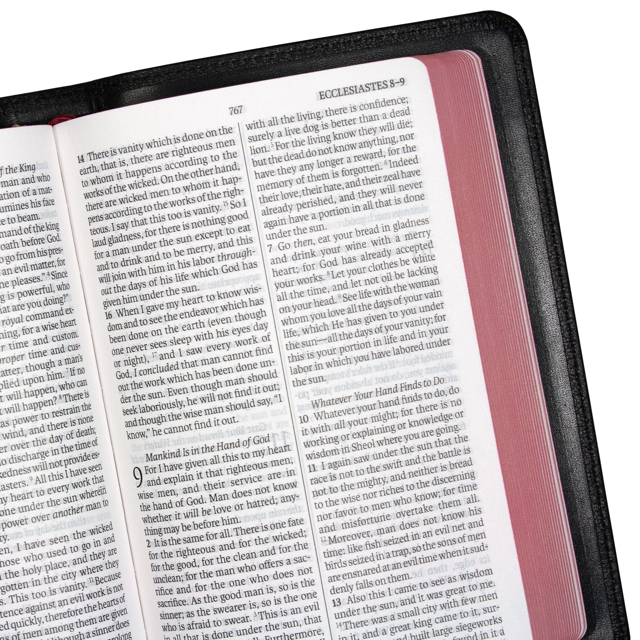 Legacy Standard Bible, Compact Edition - Edge-Lined Goatskin — 316 ...