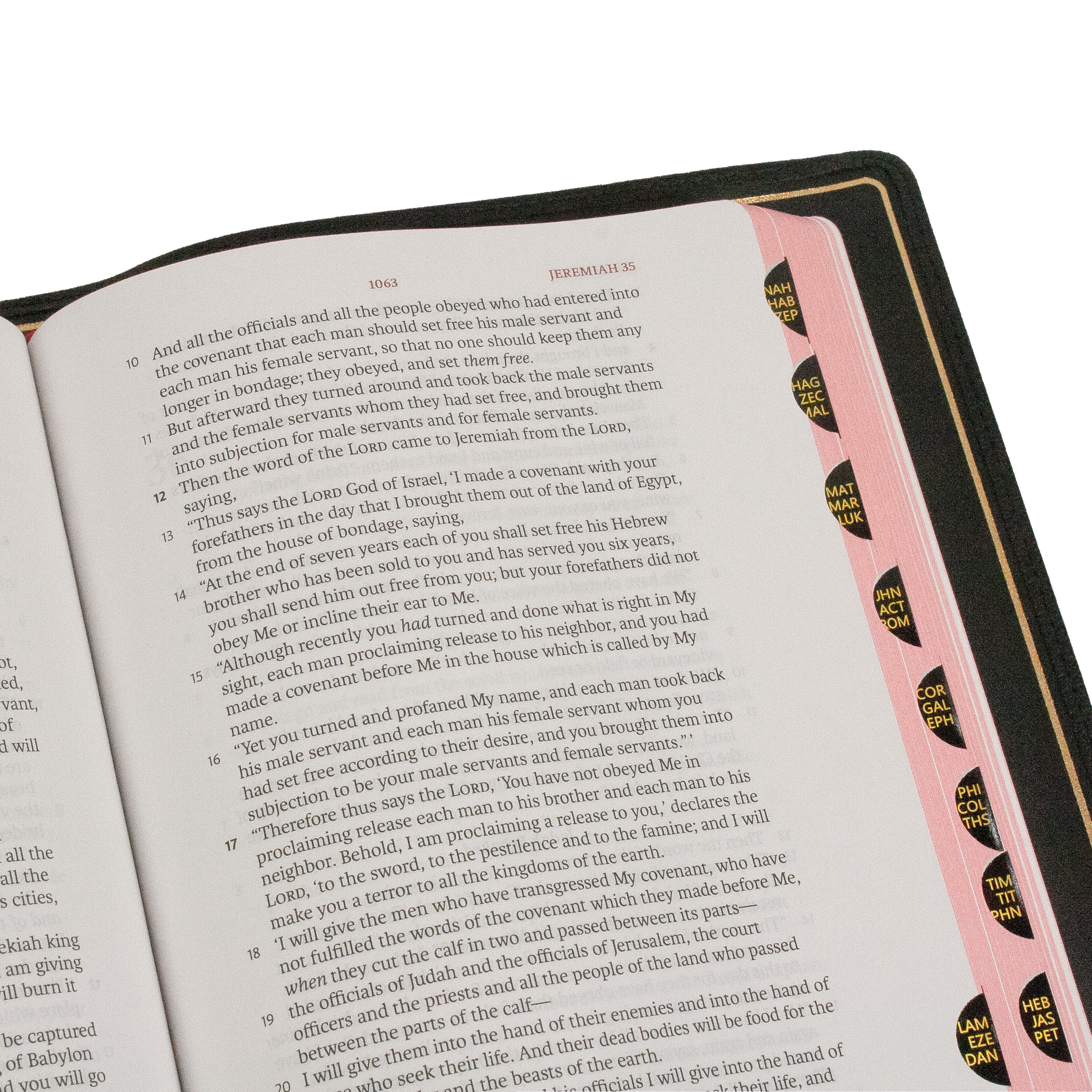 New American Standard Bible - Handy Size, Edge-Lined Goatskin — 316 ...