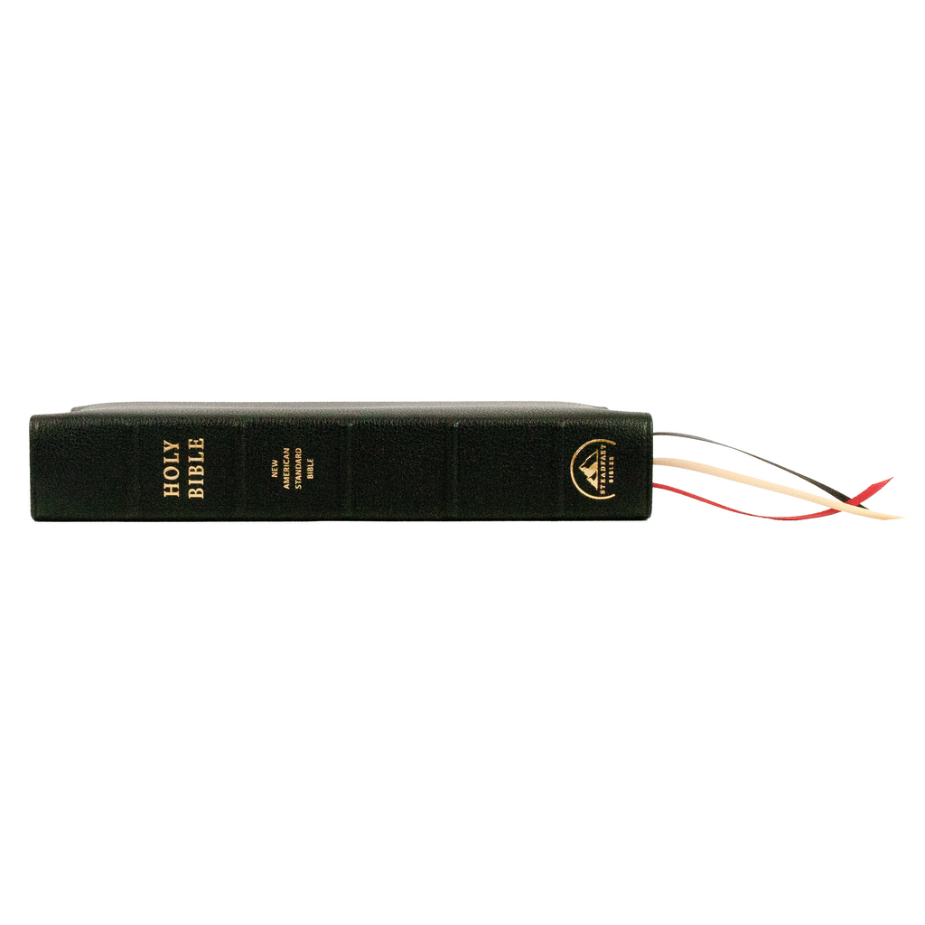 New American Standard Bible 95 — 316 Publishing