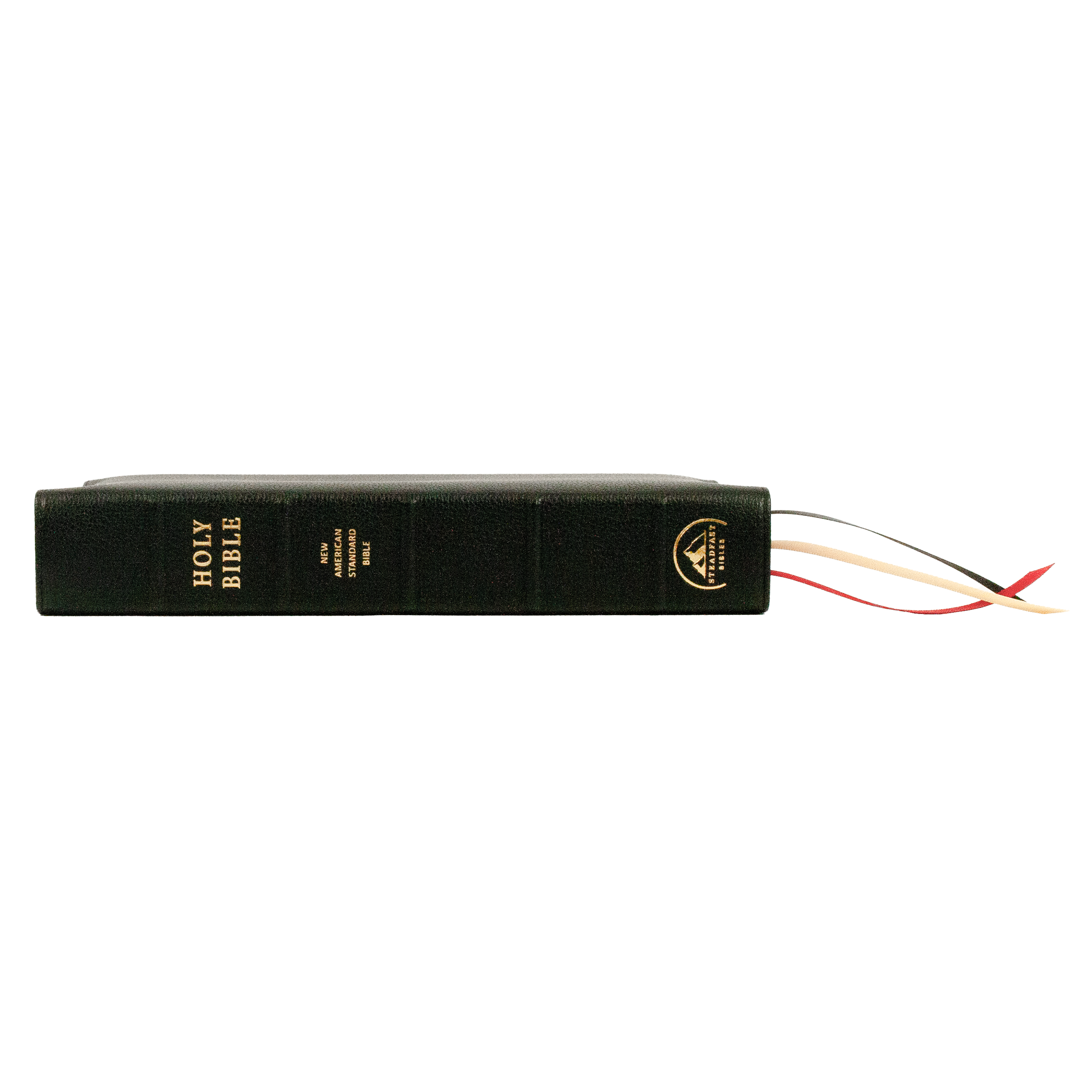 New American Standard Bible - Handy Size, Edge-Lined Goatskin — 316 ...