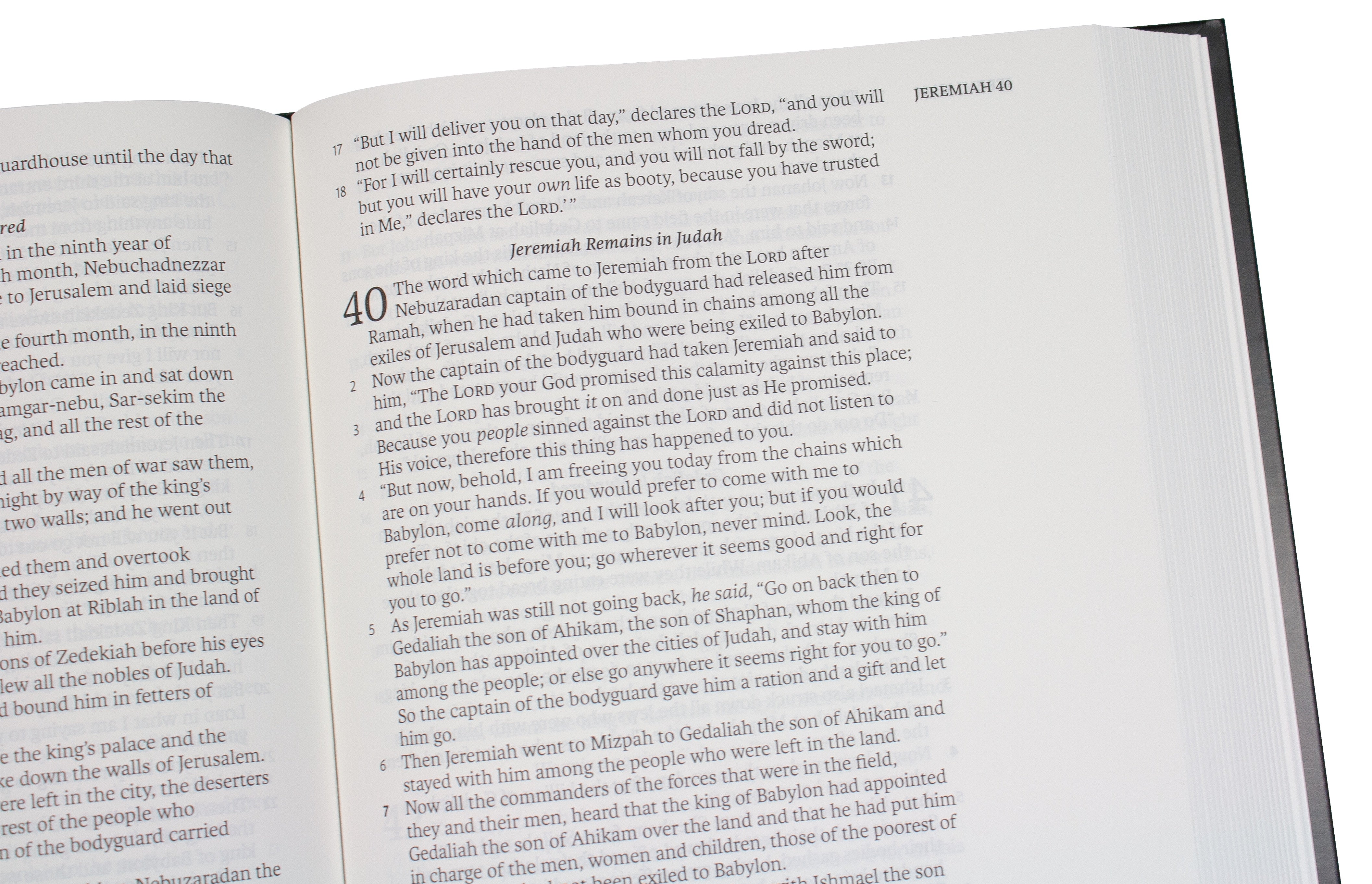 NASB '95 Large Print Wide Margin - Hardcover — 316 Publishing