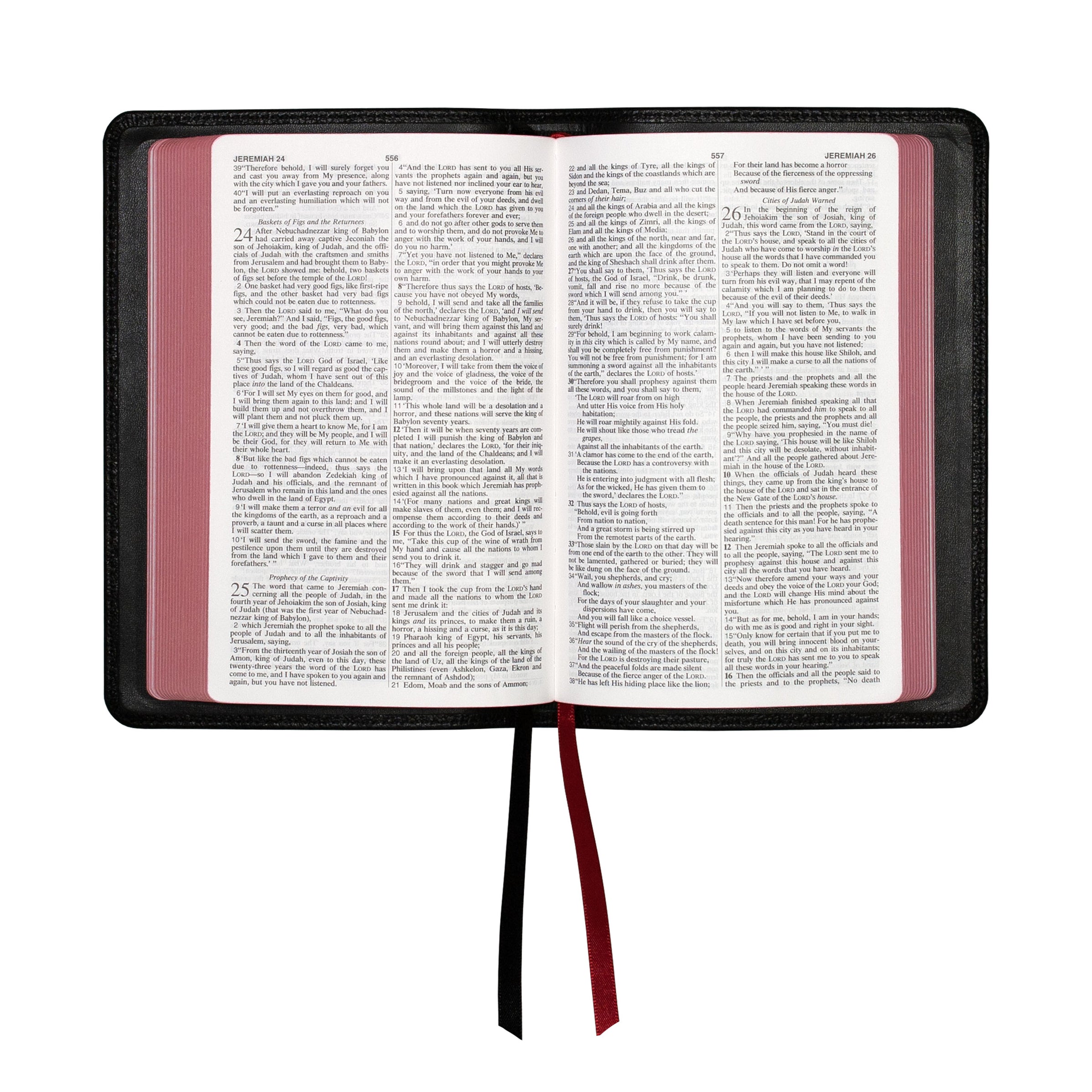 Steadfast Limited: NASB Compact Edition - Black Edge-Lined Goatskin ...