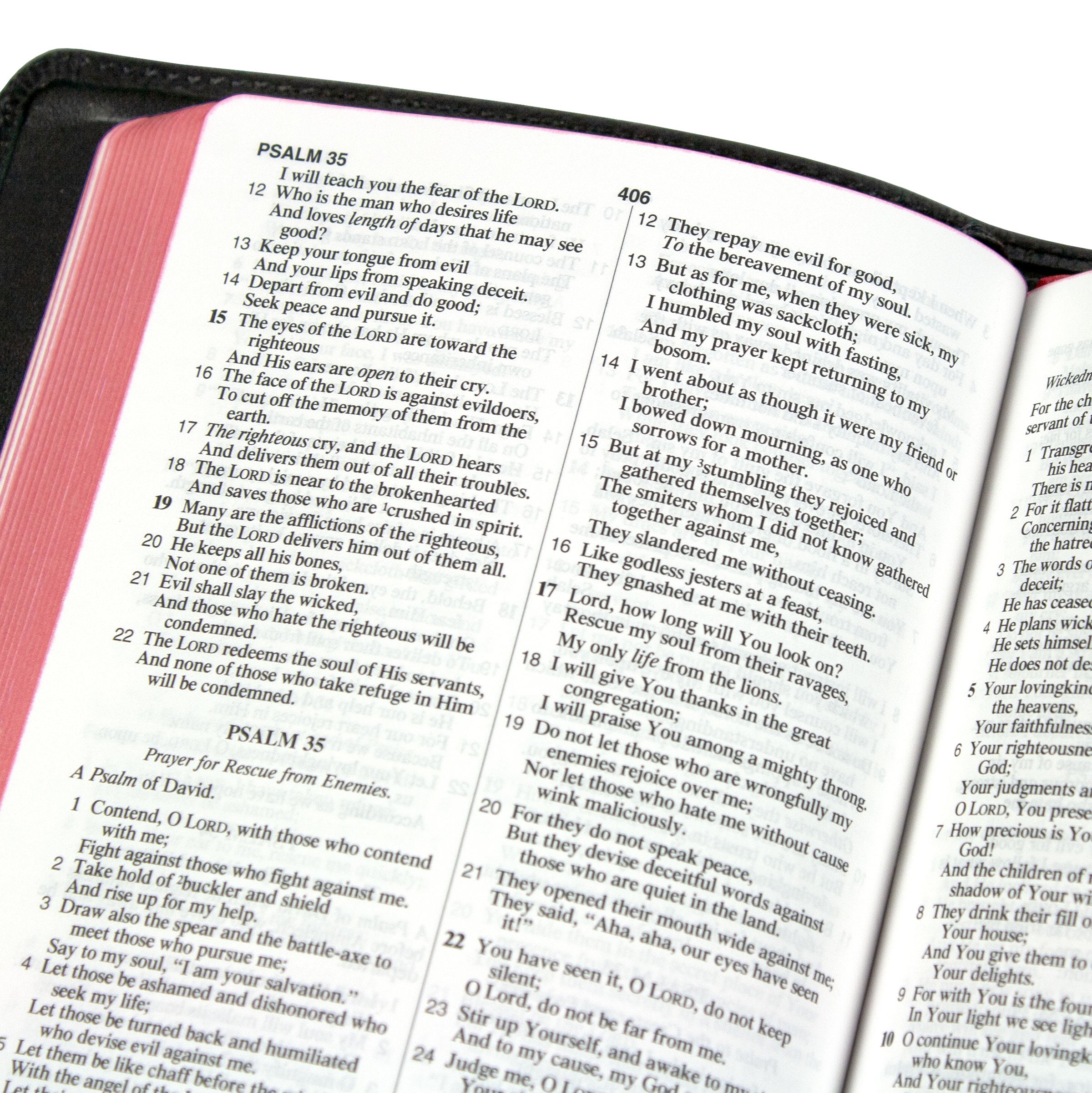 Steadfast Limited: NASB Compact Edition - Black Edge-Lined Goatskin ...