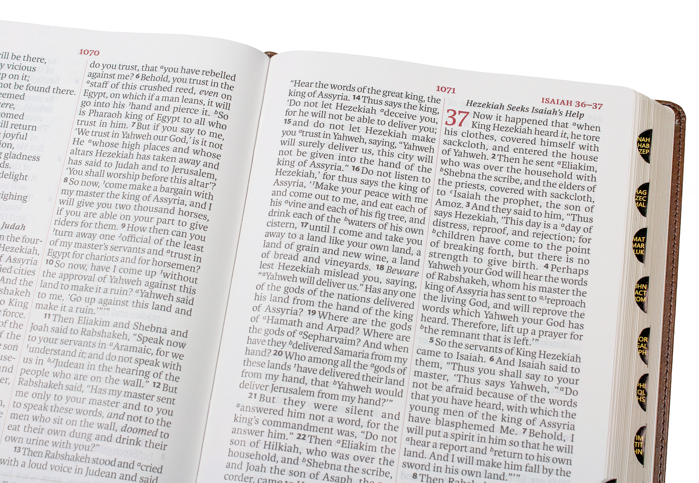 Legacy Standard Bible, Giant Print Reference Edition - Paste-Down Faux ...