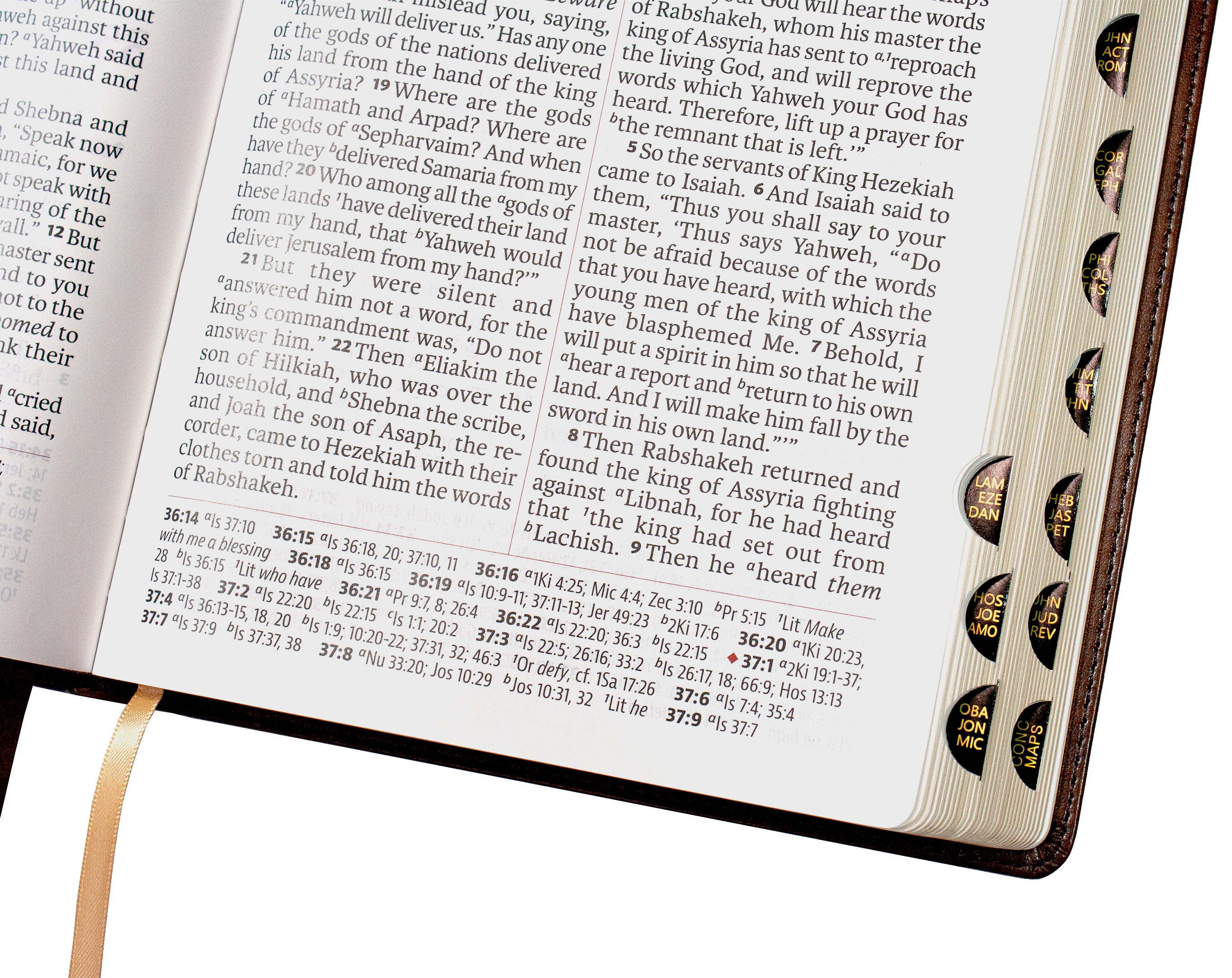 Legacy Standard Bible, Giant Print Reference Edition - Paste-Down Faux ...