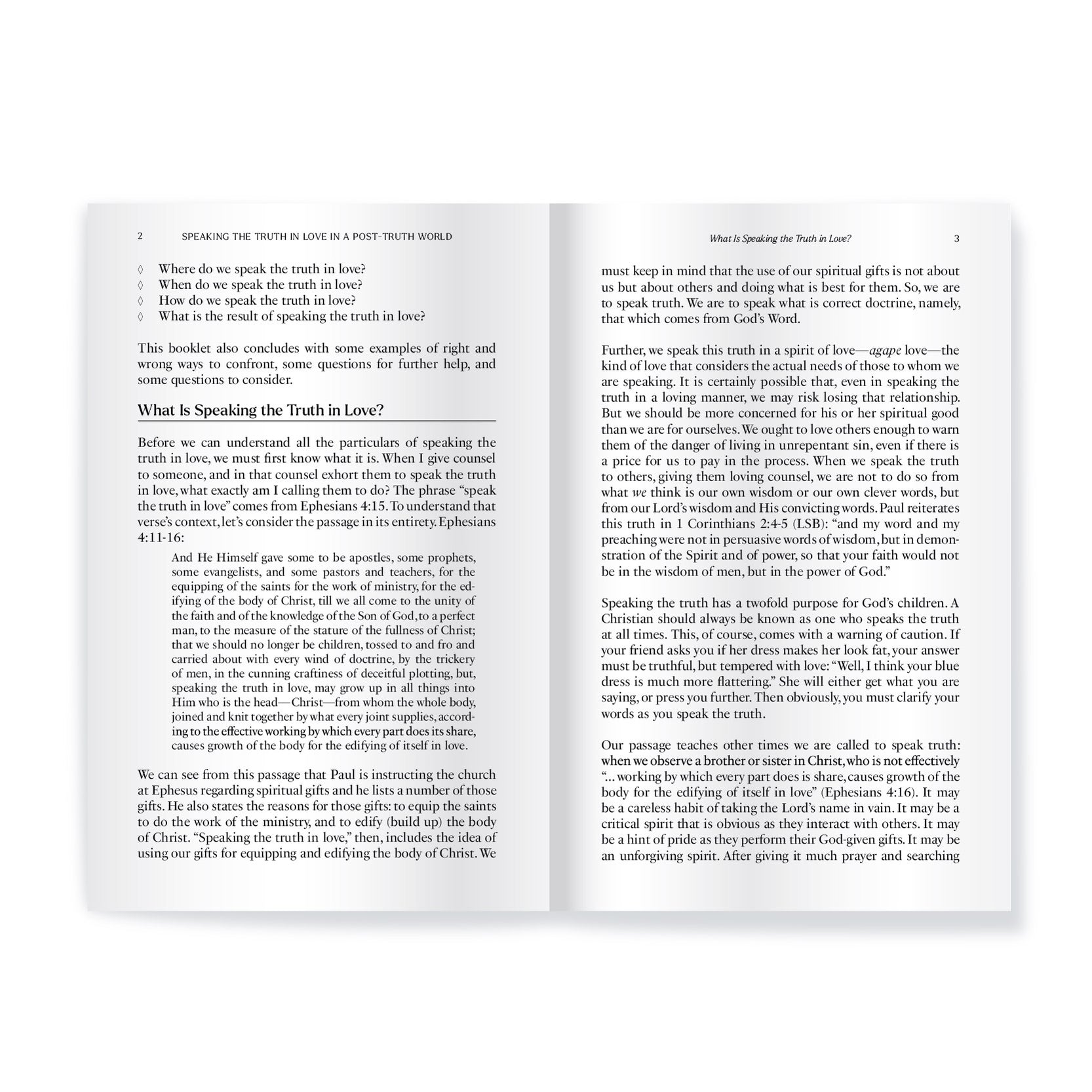 Speaking the Truth in Love in a Post-Truth World — 316 Publishing