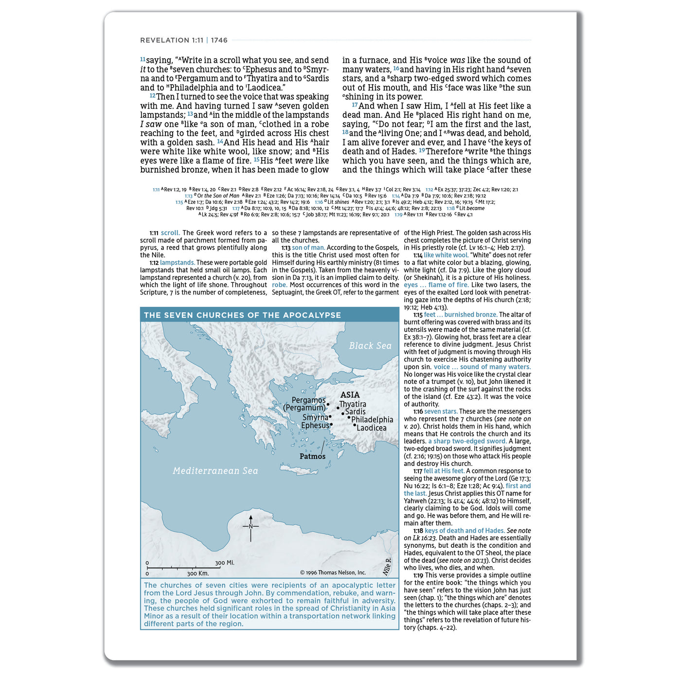 Legacy Standard Bible, MacArthur Study Bible - Edge-Lined Goatskin ...