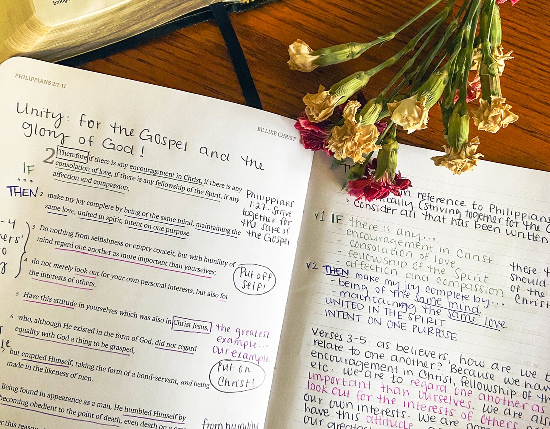 NASB Scripture Study Notebooks — 316 Publishing