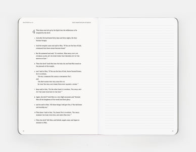 NASB Scripture Study Notebooks — 316 Publishing