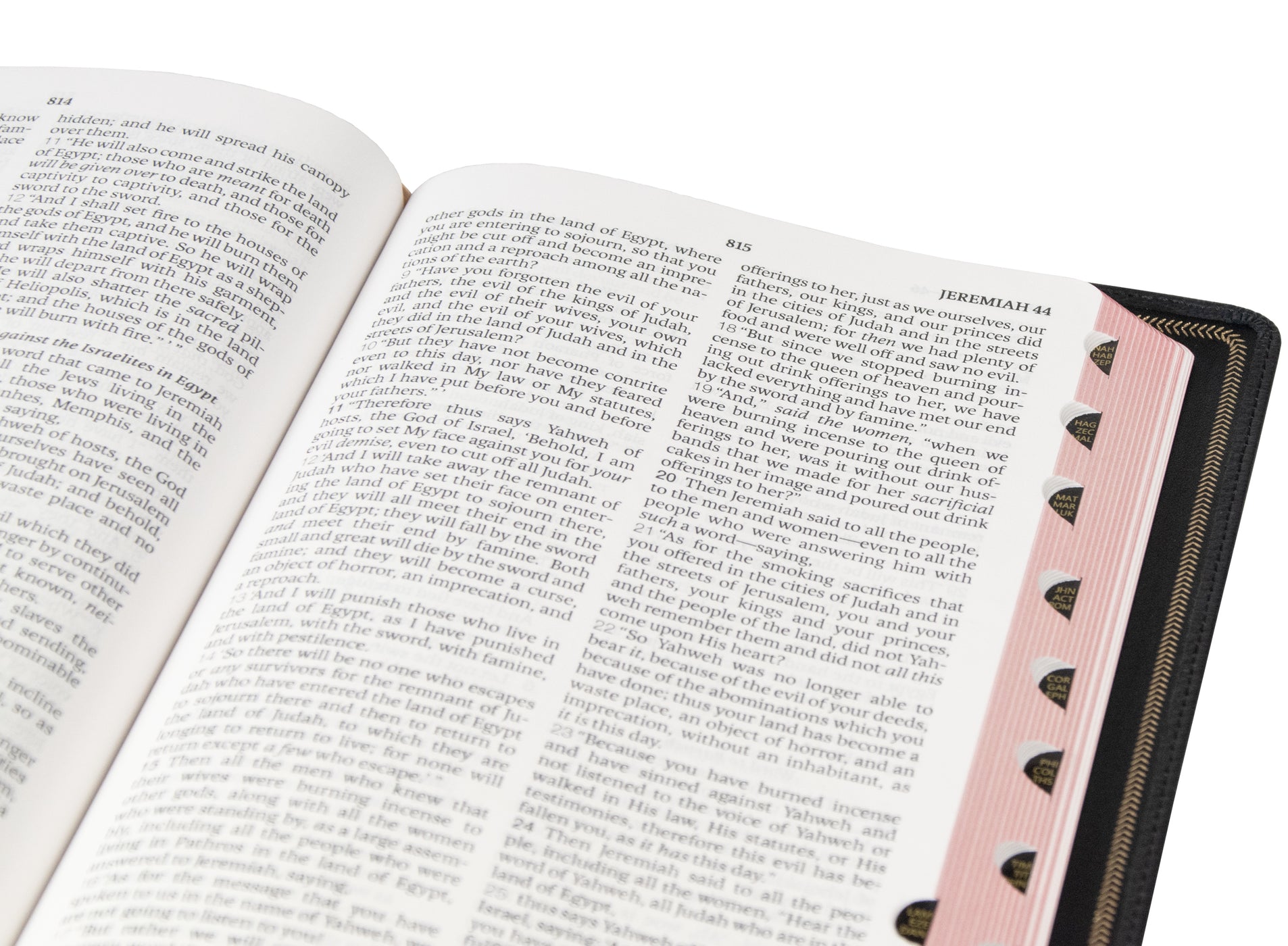 Legacy Standard Bible, 2 Column Verse-by-Verse - Edge-Lined Goatskin ...