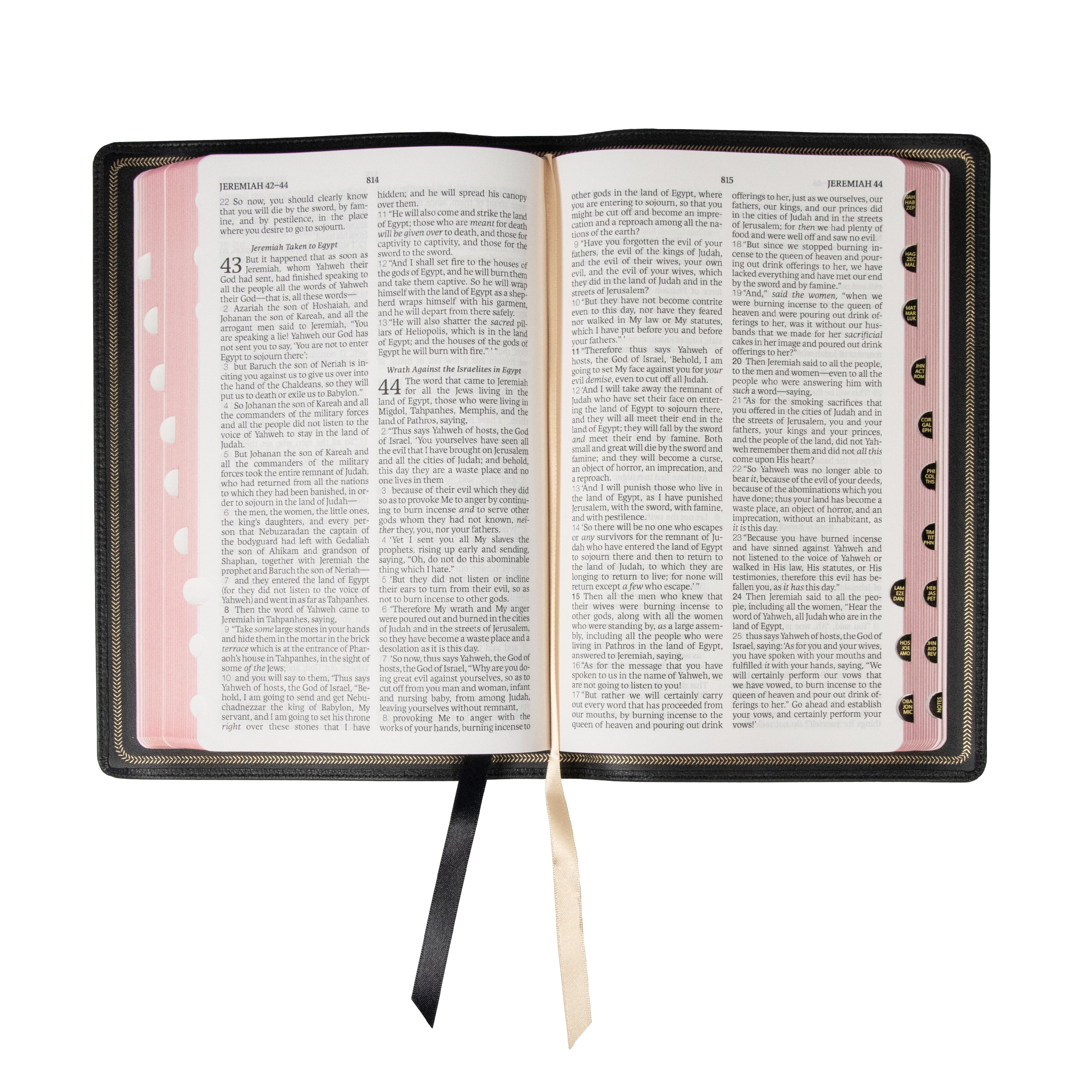 Legacy Standard Bible, 2 Column Verse-by-Verse - Edge-Lined Goatskin ...