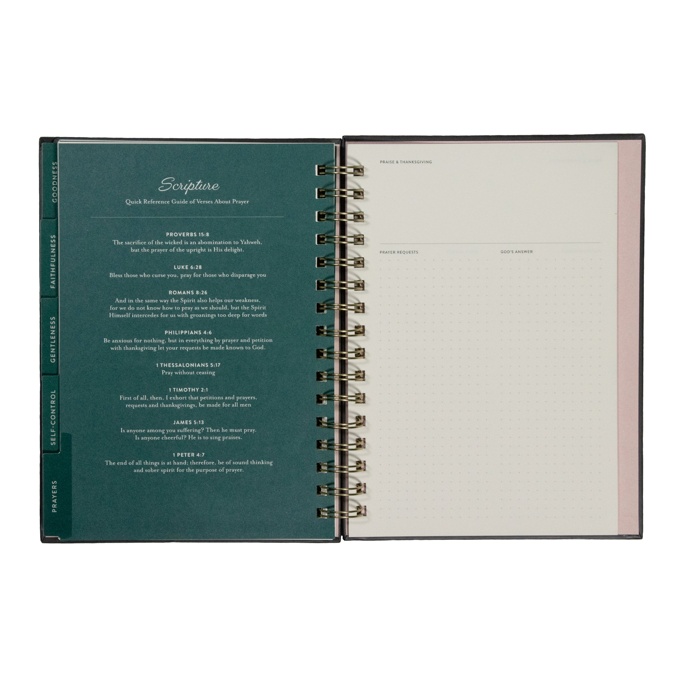 Fruit of the Spirit Devotional Journal — 316 Publishing