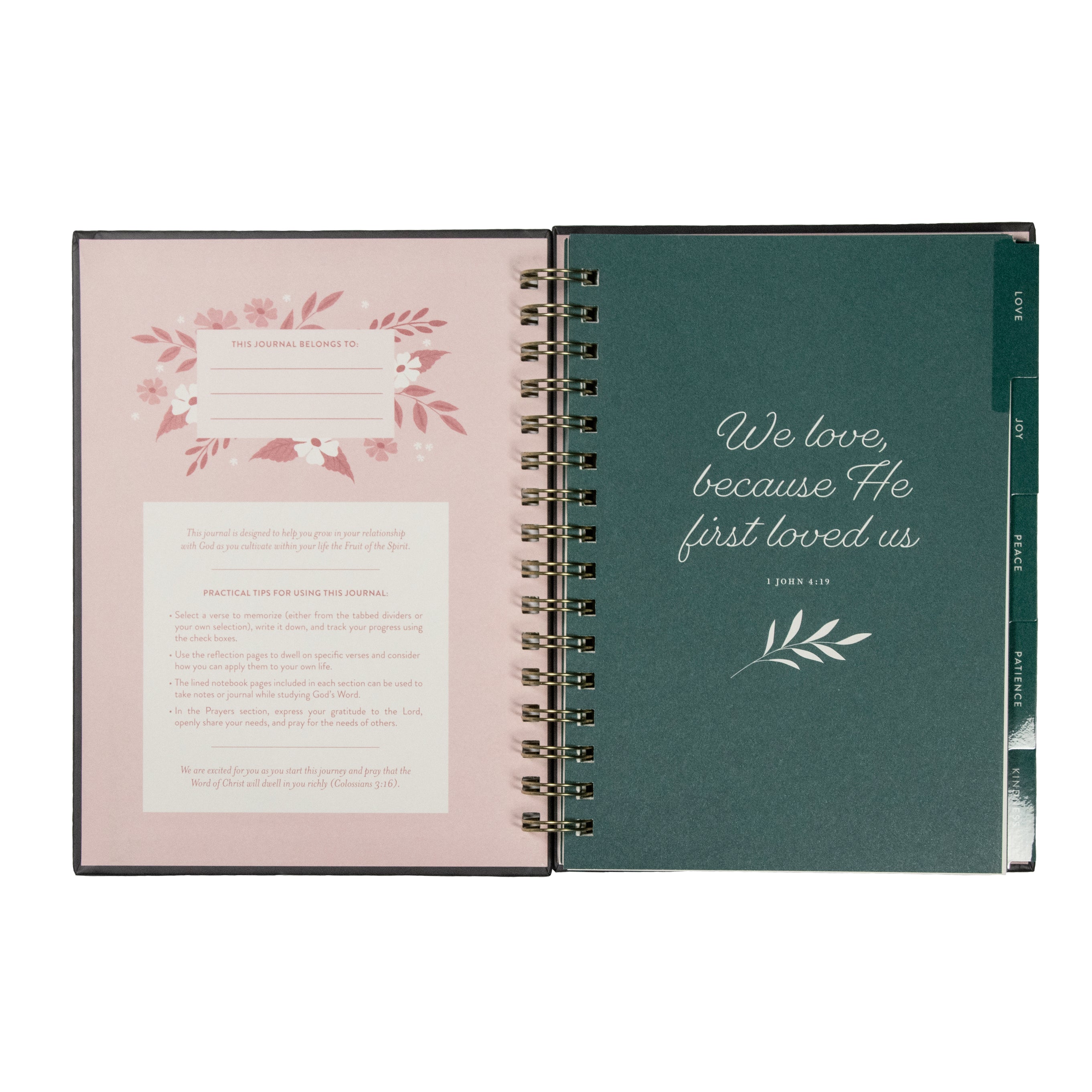 Fruit of the Spirit Devotional Journal — 316 Publishing