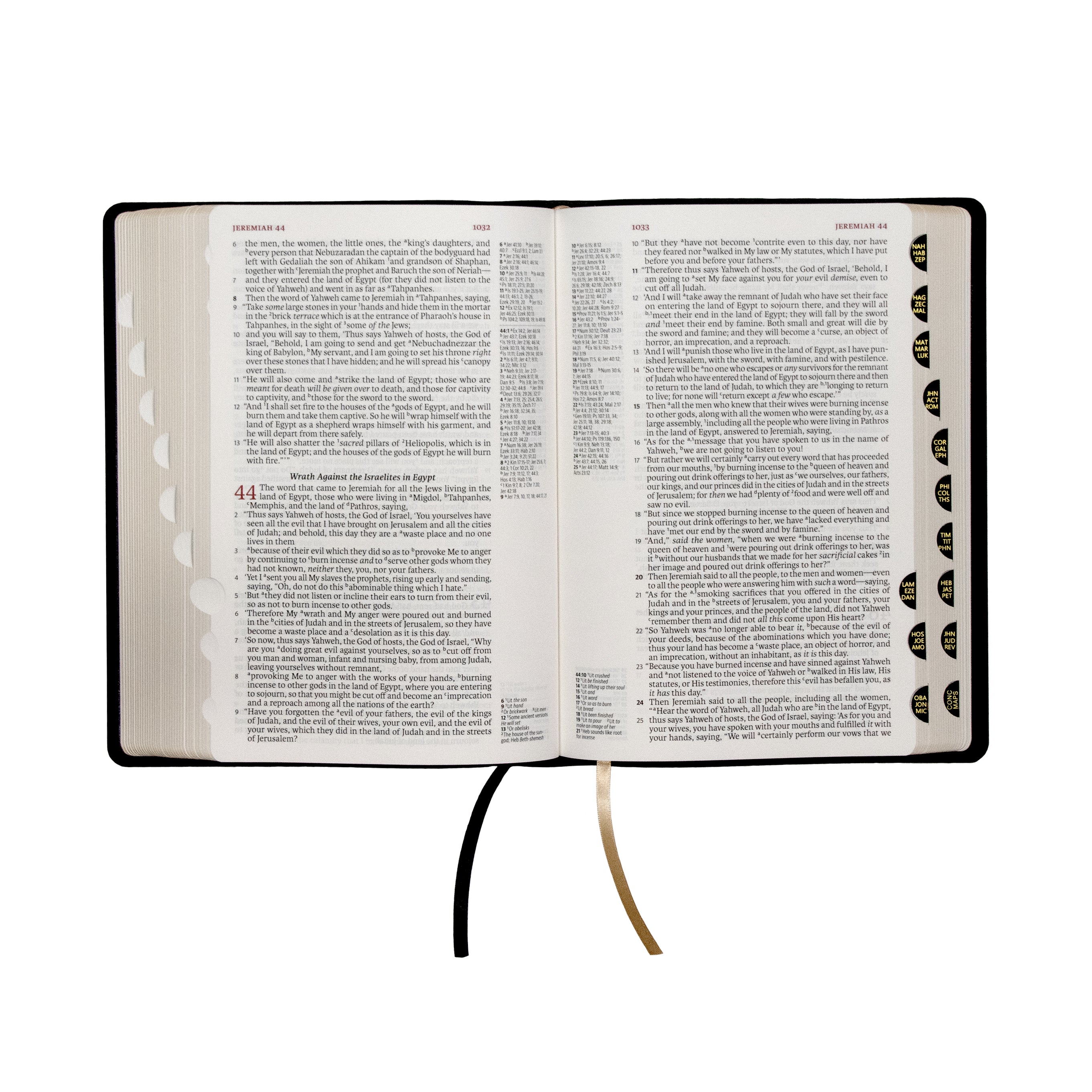 Legacy Standard Bible, Inside Column Reference - Faux Leather — 316 ...