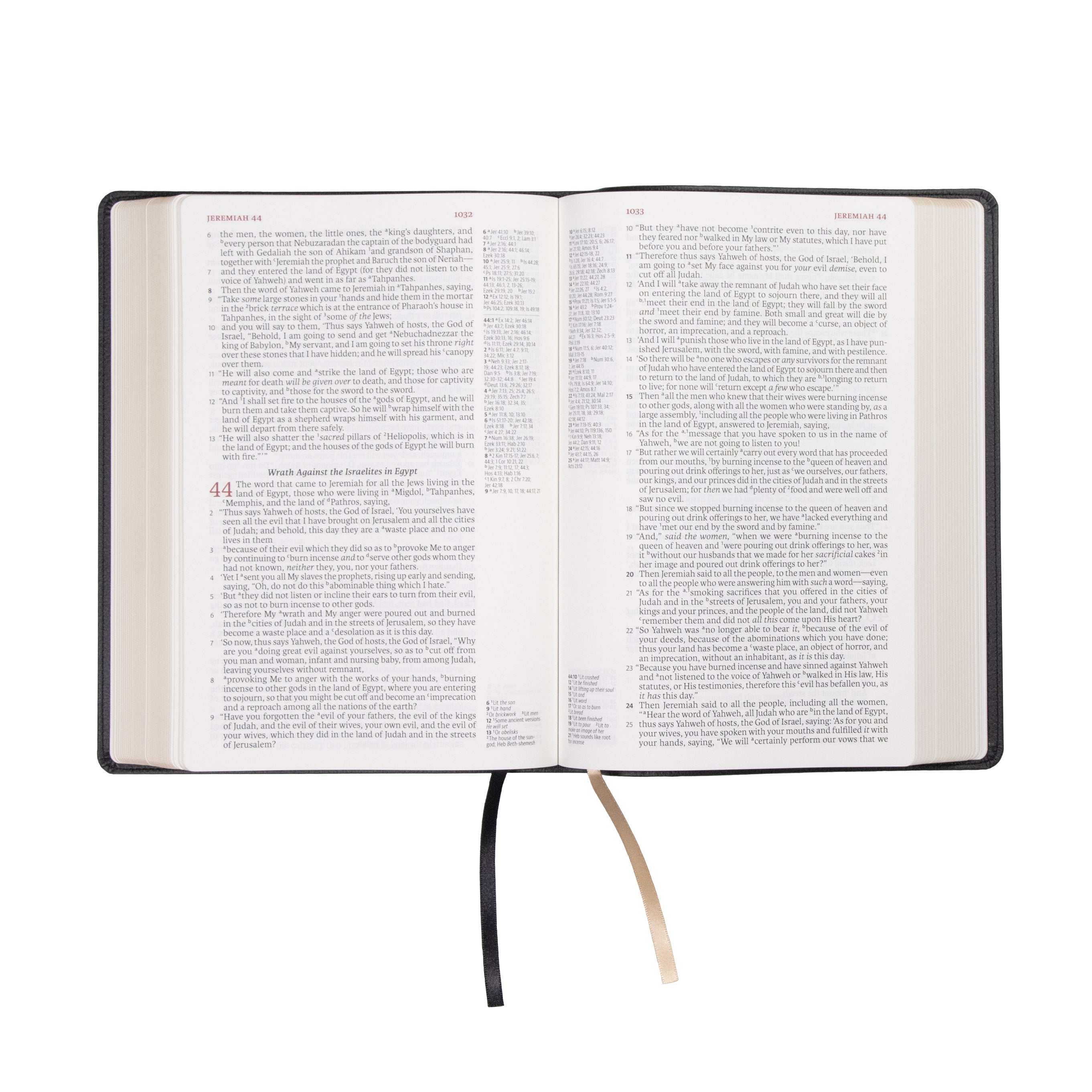 Legacy Standard Bible, Inside Column Reference - Faux Leather — 316 ...