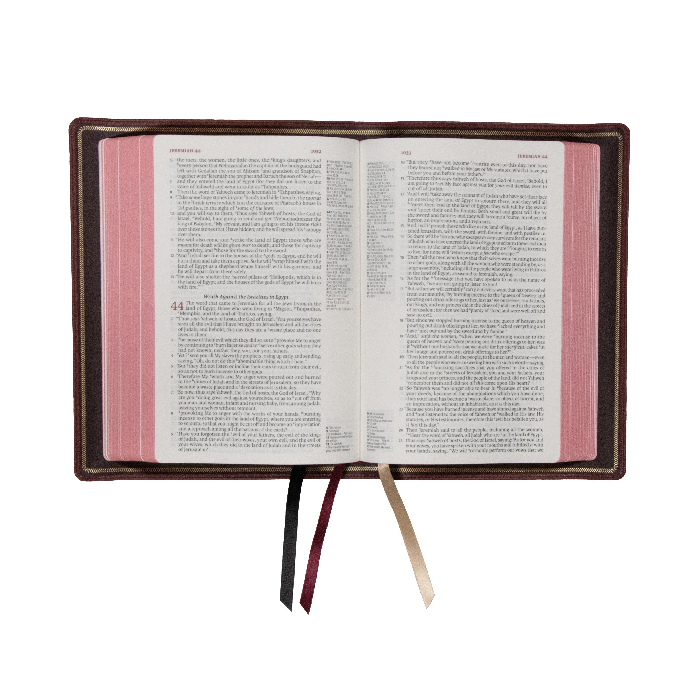 Legacy Standard Bible, Inside Column Reference - Edge-Lined Goatskin ...