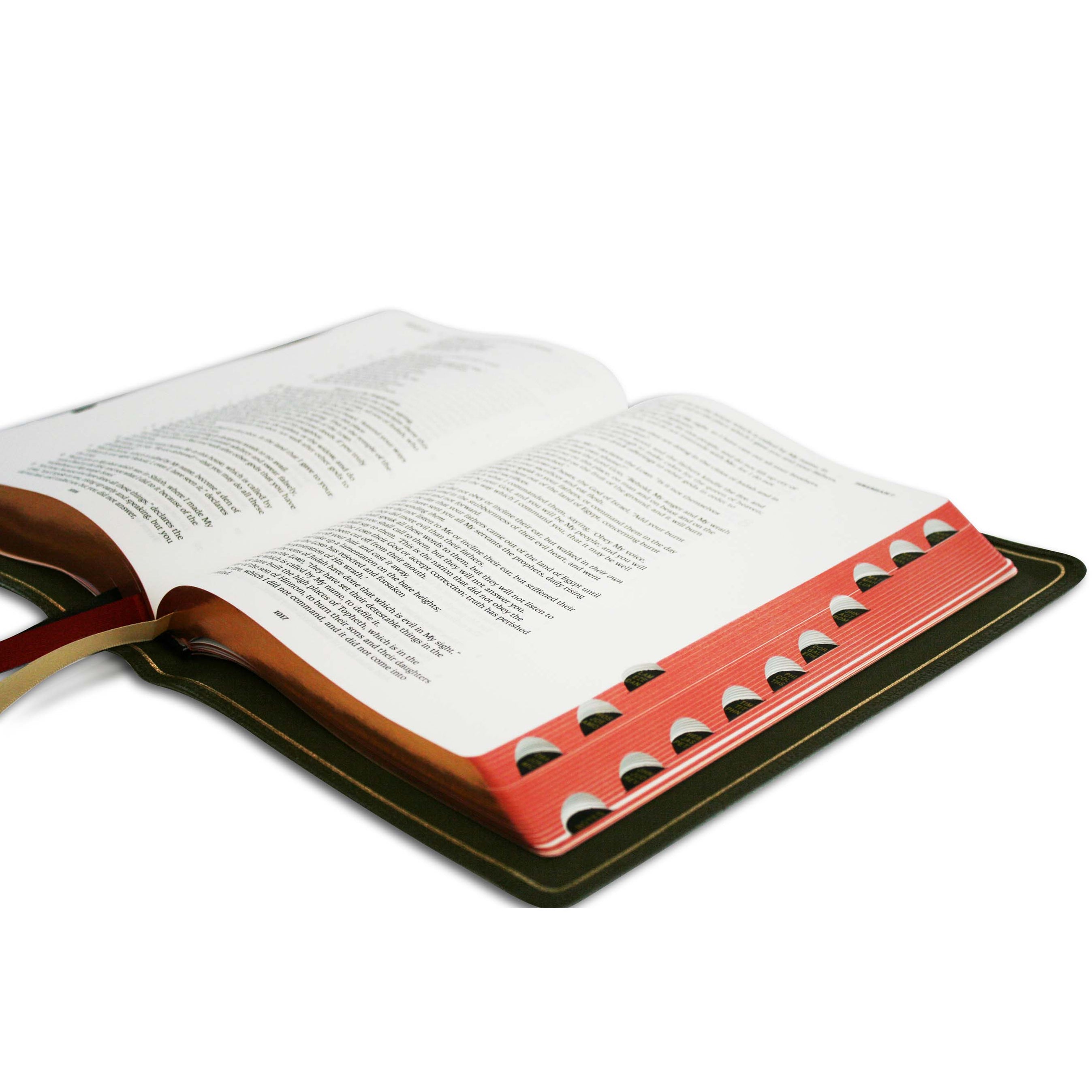 NASB '95 Large Print Wide Margin - Edge-Lined Goatskin — 316 Publishing