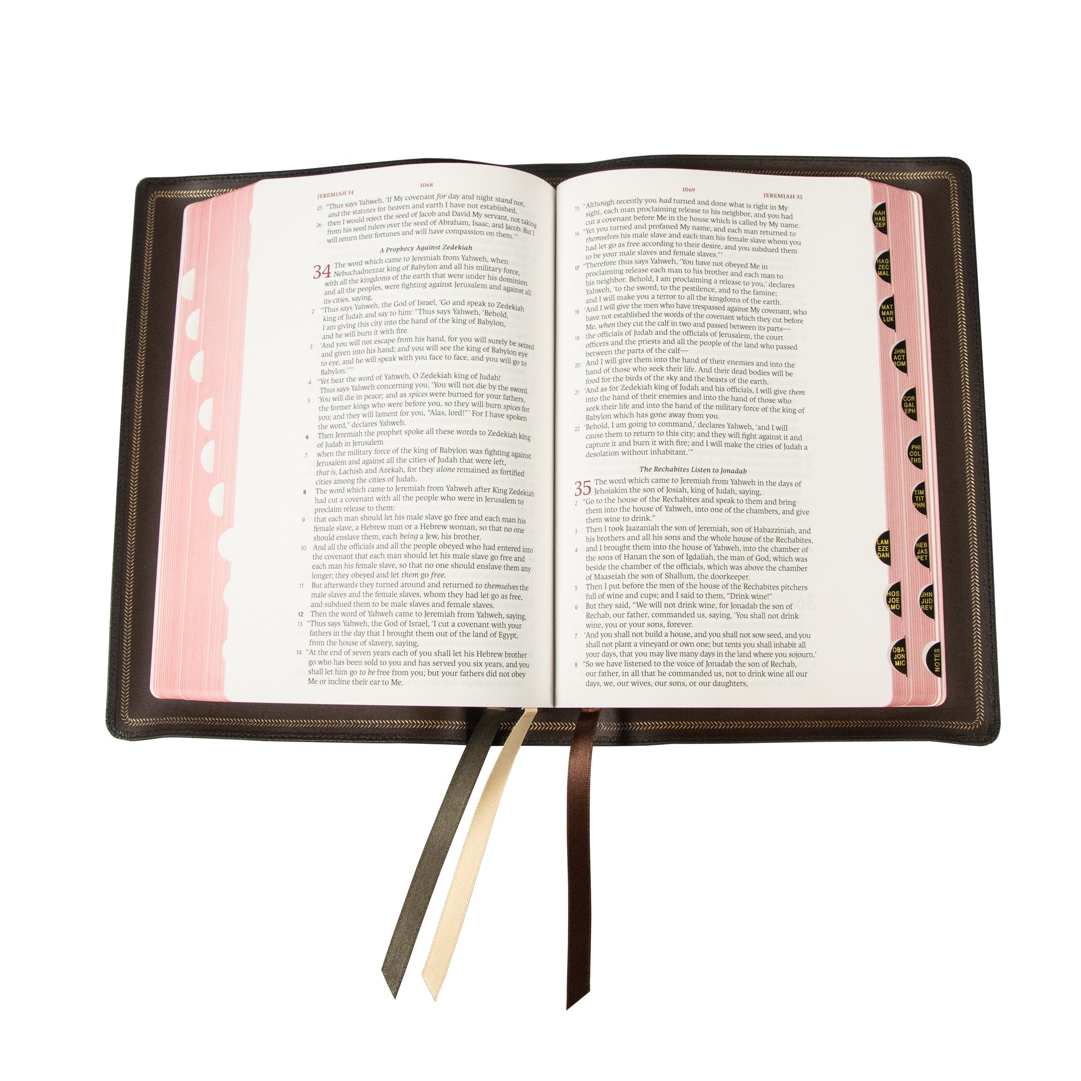 Legacy Standard Bible, Large Print Wide Margin - Edge-Lined Goatskin ...