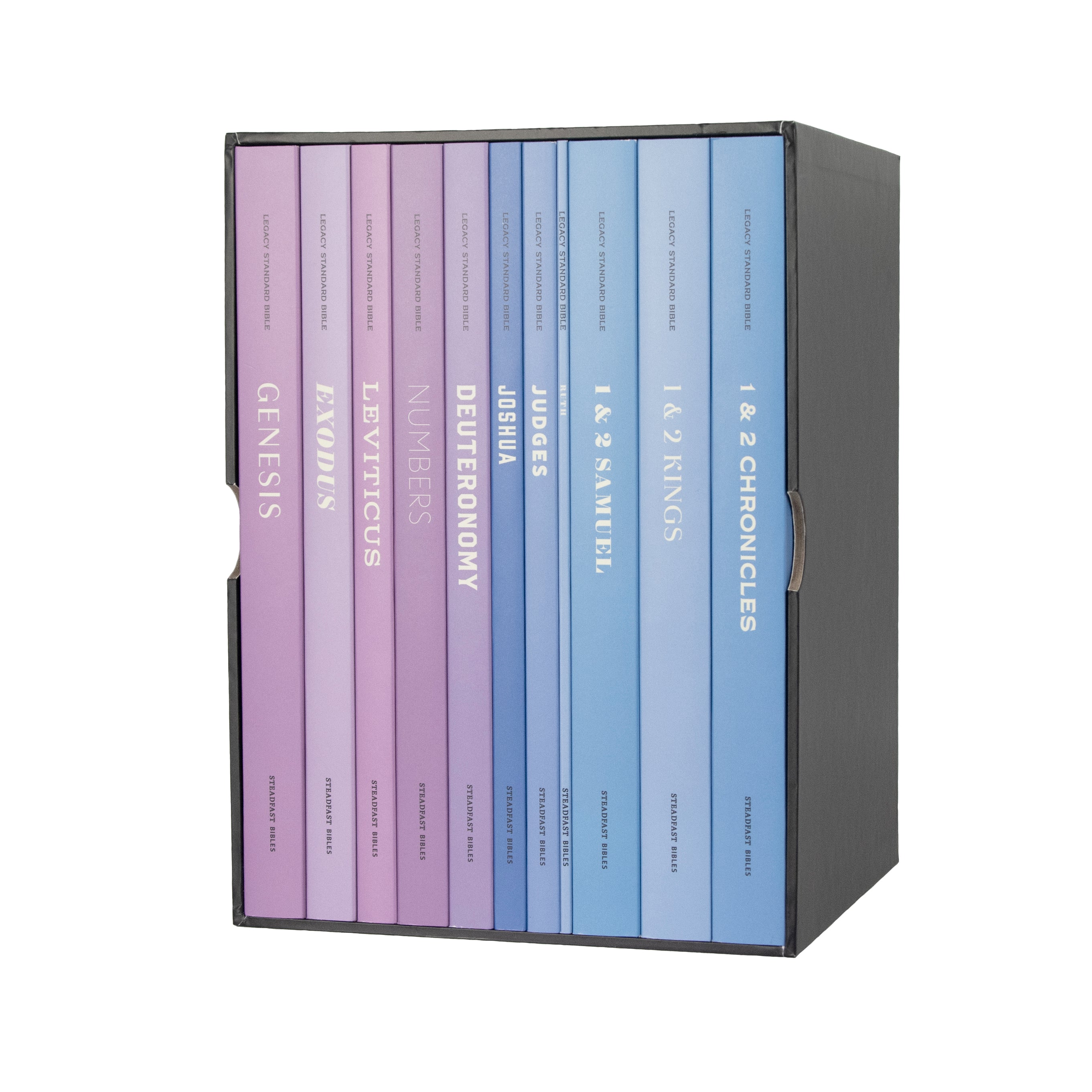 Legacy Standard Bible, Scripture Study Notebook - Old Testament Set ...