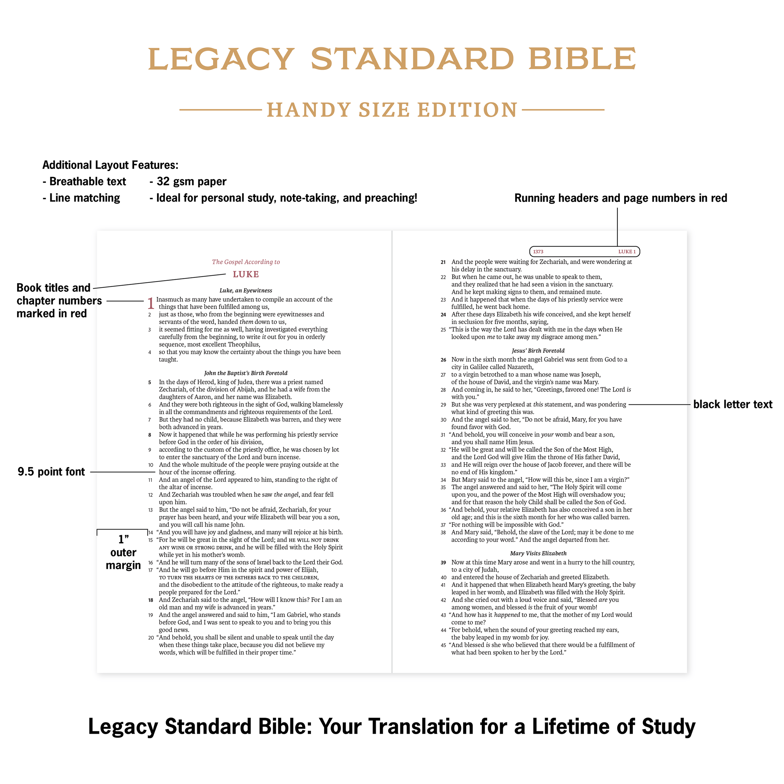 LSB Handy Size | Edge-Lined Shamar Goatskin — 316 Publishing