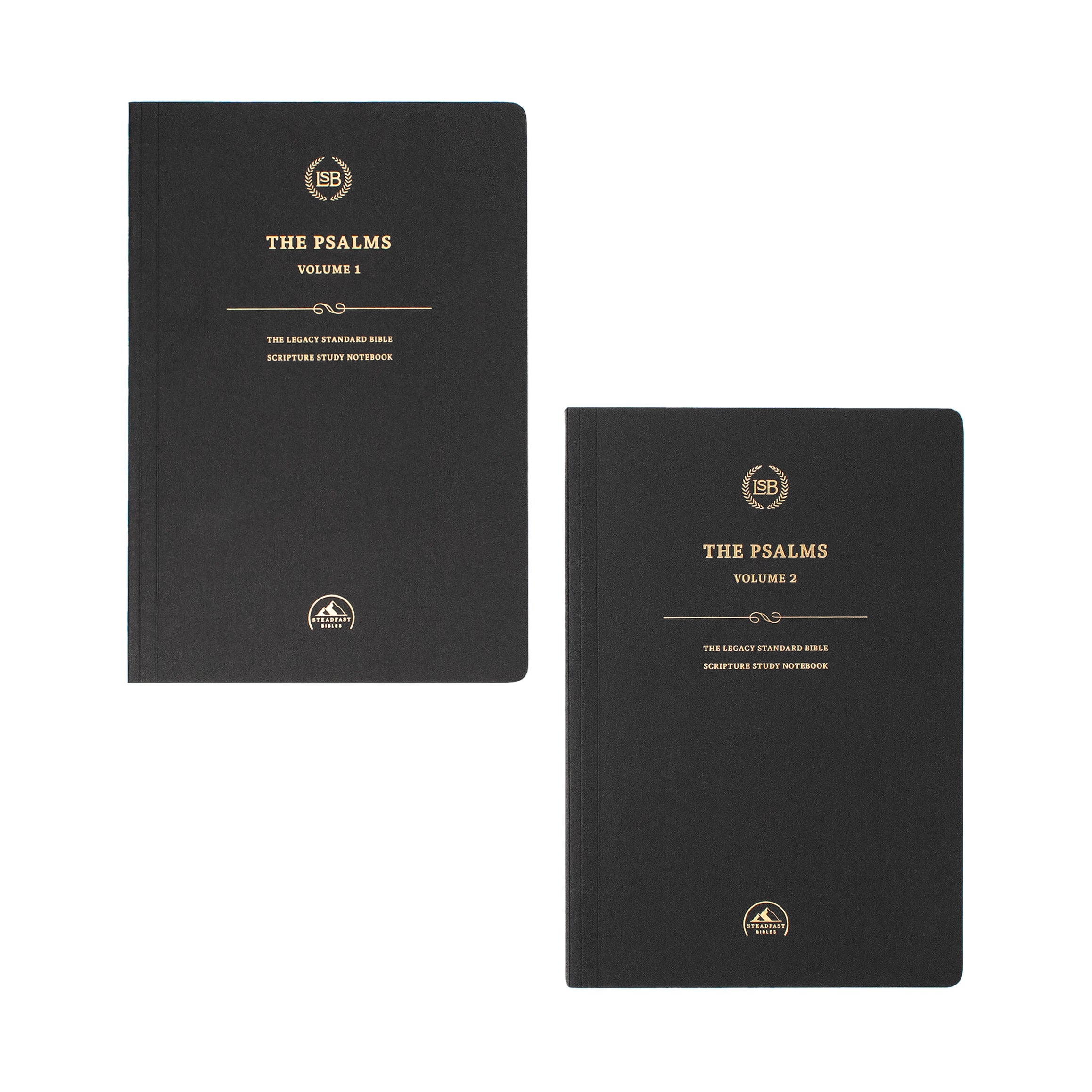 Legacy Standard Bible, Scripture Study Notebooks - Psalms Set — 316 ...