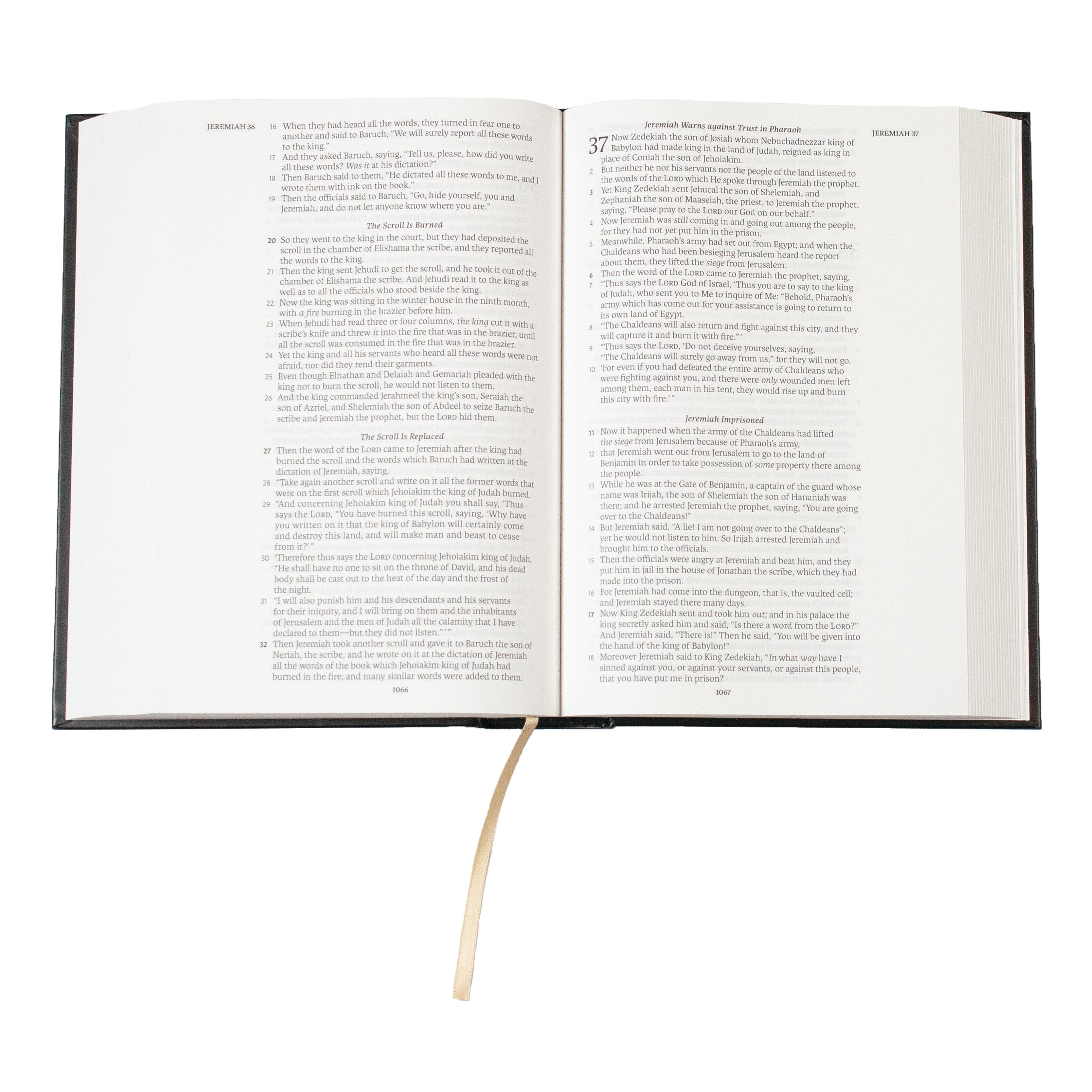 NASB '95 Large Print Wide Margin - Hardcover — 316 Publishing